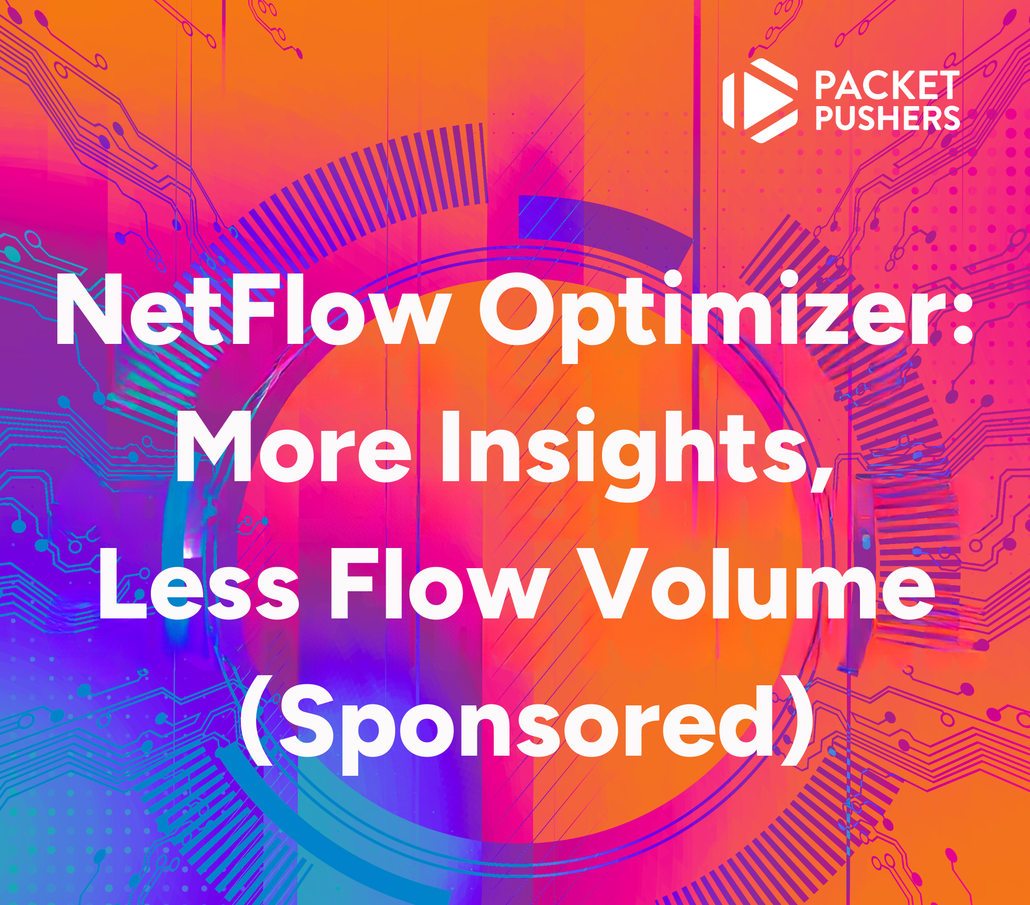 NetFlow Optimizer: More Insights, Less Flow Volume